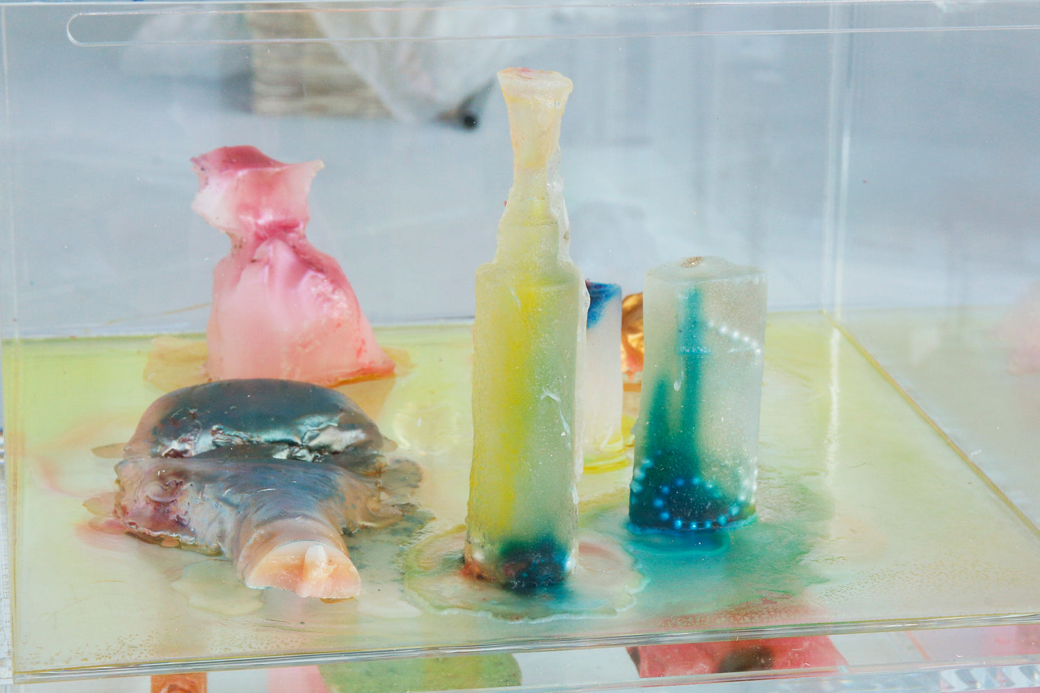 Julia Thompson | Dries Van Noten