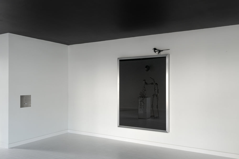 Ryan Gander | Dries Van Noten